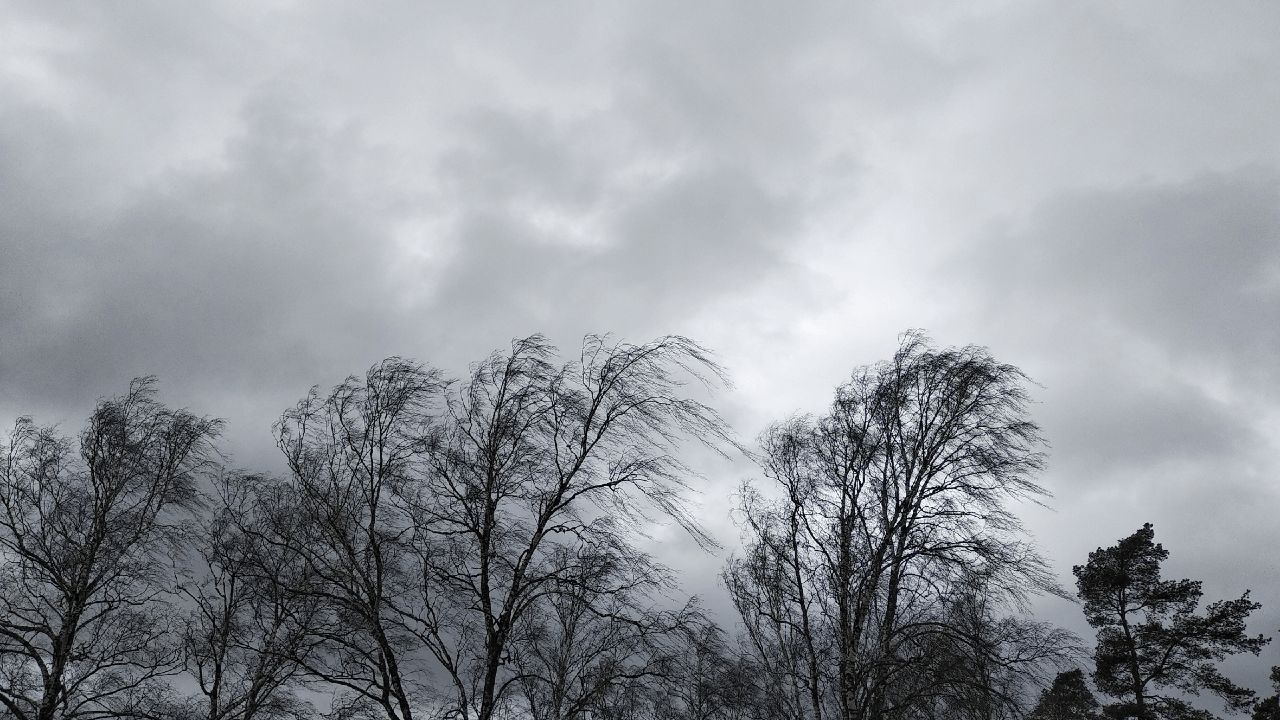Tempête Goretti : rafales records, coupures d'électricité... point de ...