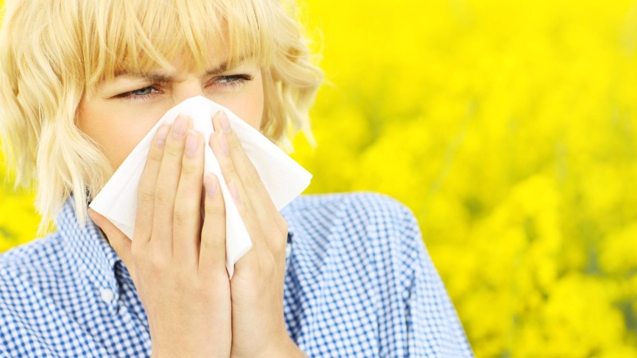 Risque élevé d'allergie au pollen dans plusieurs départements de nos ...