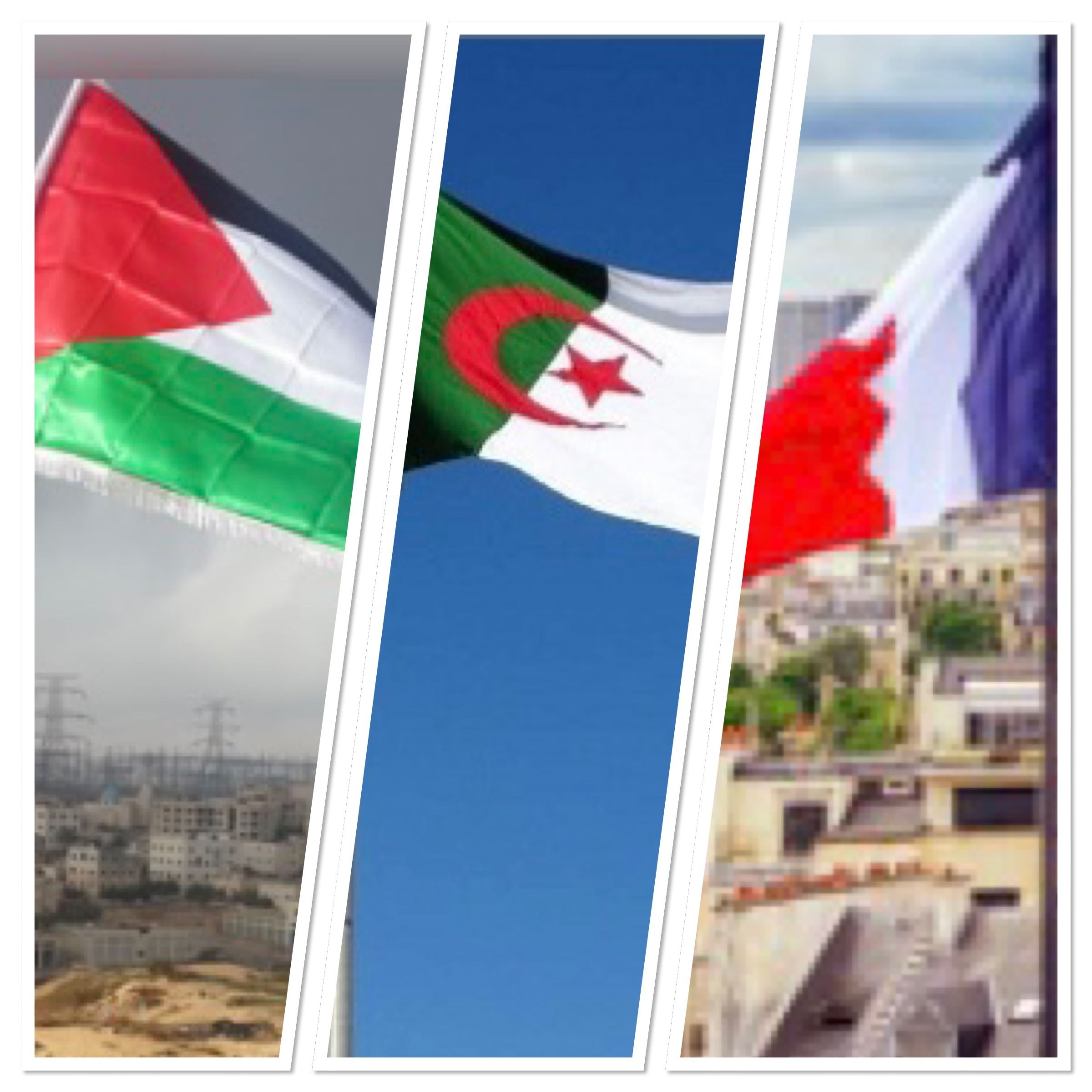 LE JOURNAL EN LANGUE ARABE DE MIDI 30 DU 26/01/23
