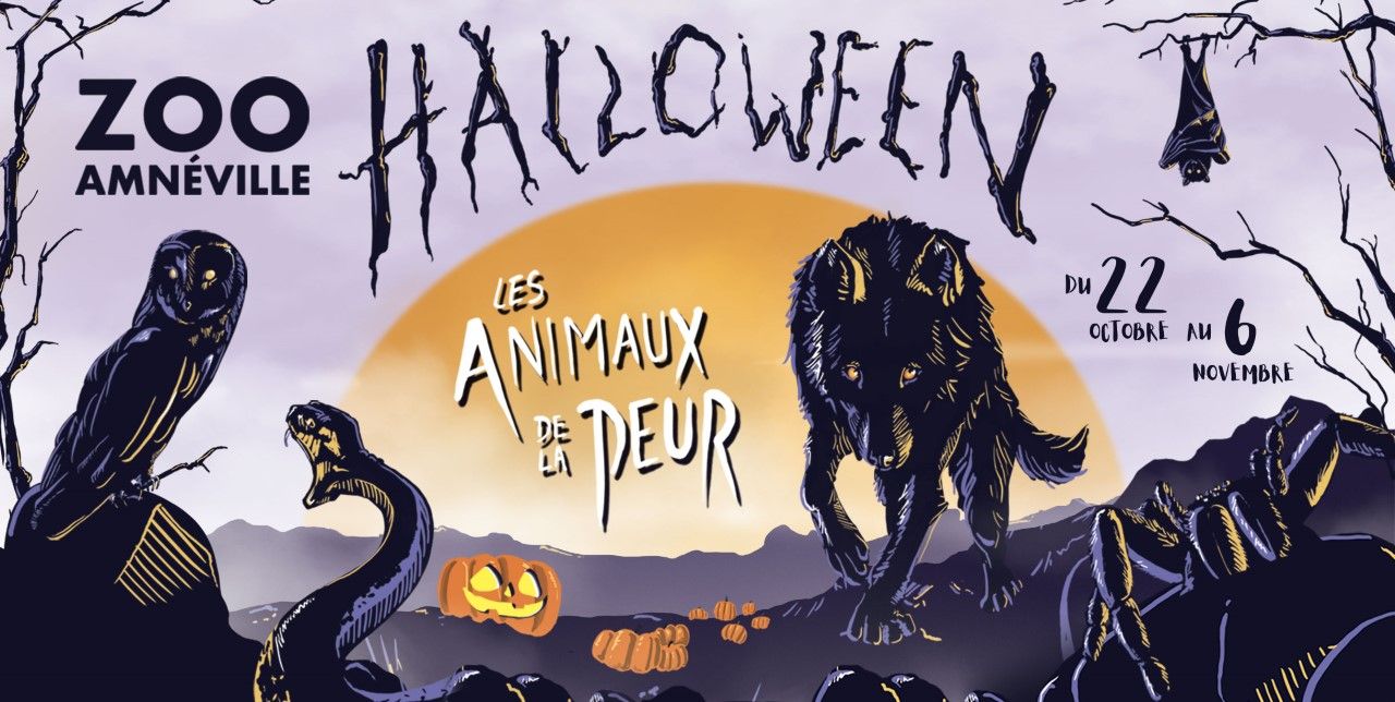 Idée de sortie : Venez profiter de l'Automne au Zoo d'Amnéville