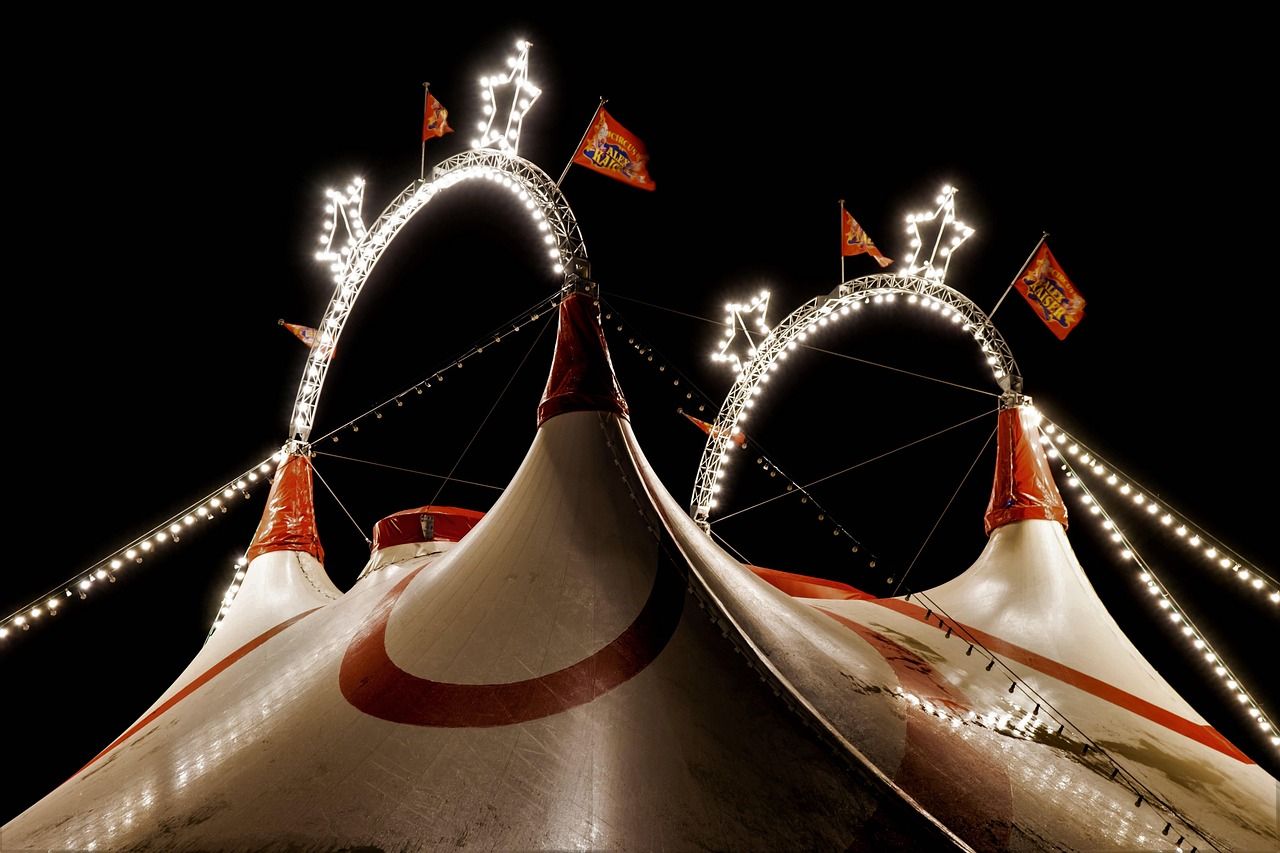 EVASION - Le cirque qui s’est installé dans la zone du Champ de Foire à ...