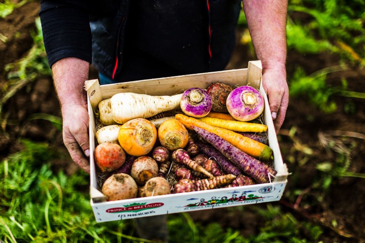 Les légumes anciens comme le panais sont-ils à votre goût ? - HIT WEST
