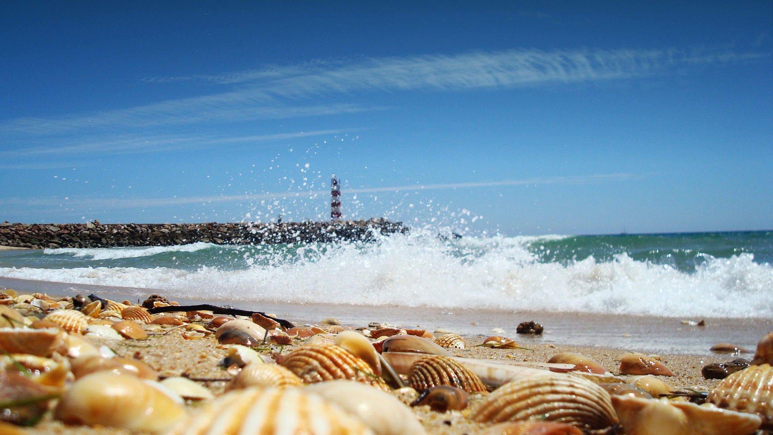 Rentrée 2024 : Et si on prolongeait les vacances à Faro ? - LATINA