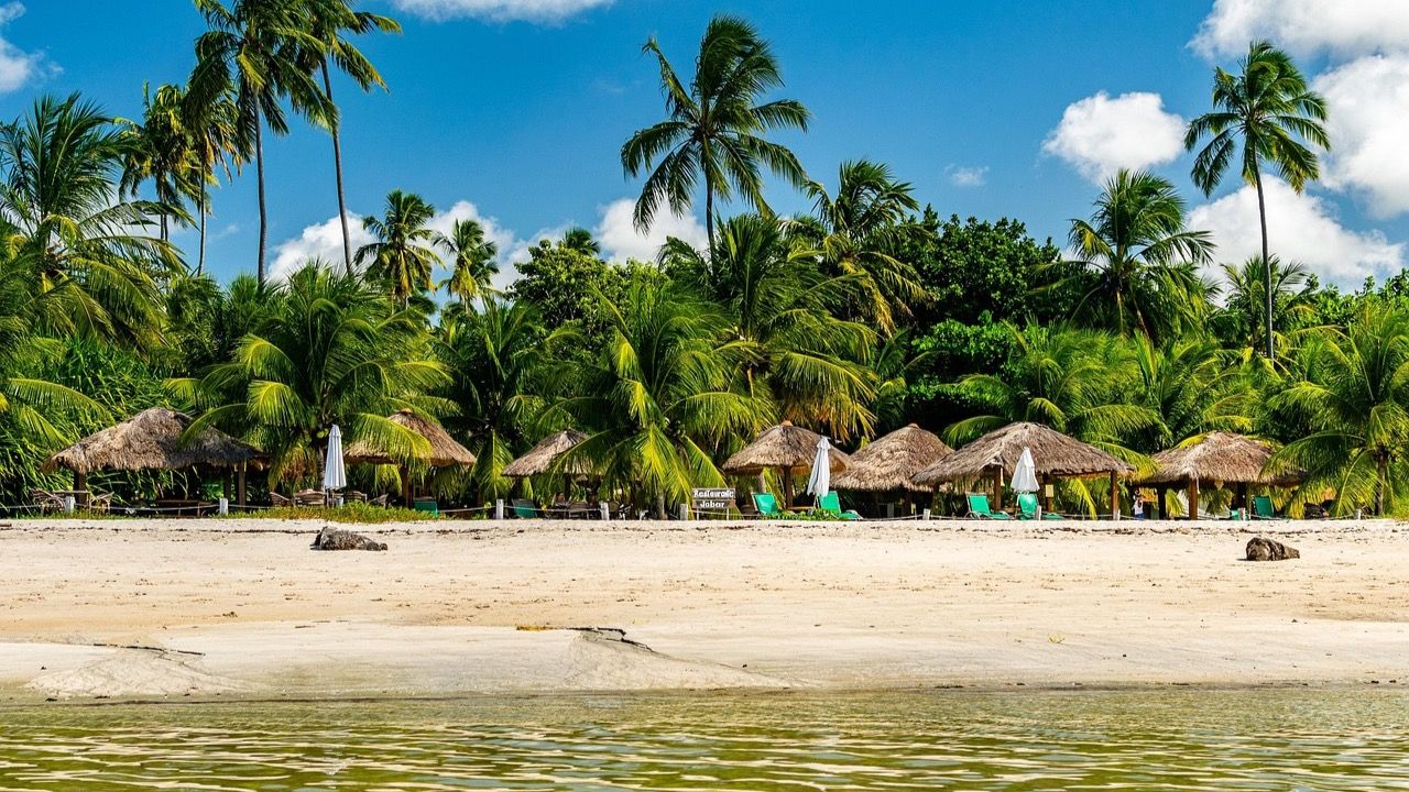 Le Brésil bat des records en matière de plages propres. - LATINA