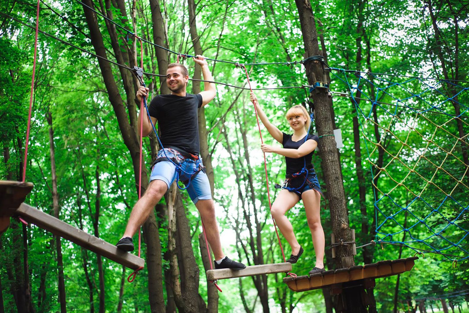 GAGNEZ VOS ENTREES POUR HAPPY FOREST