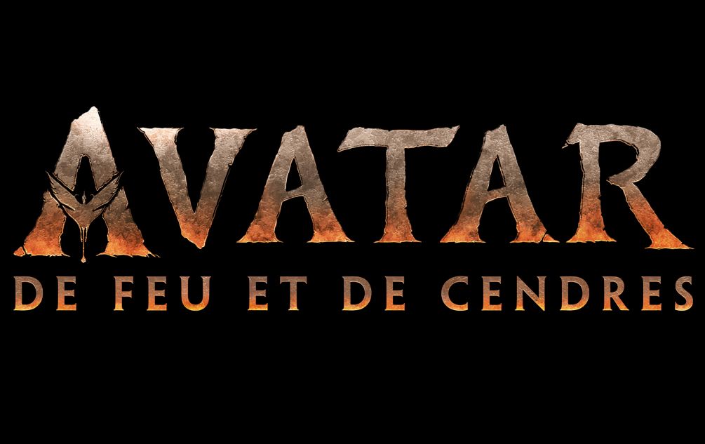 Cinémas de la région : Bilan 2025