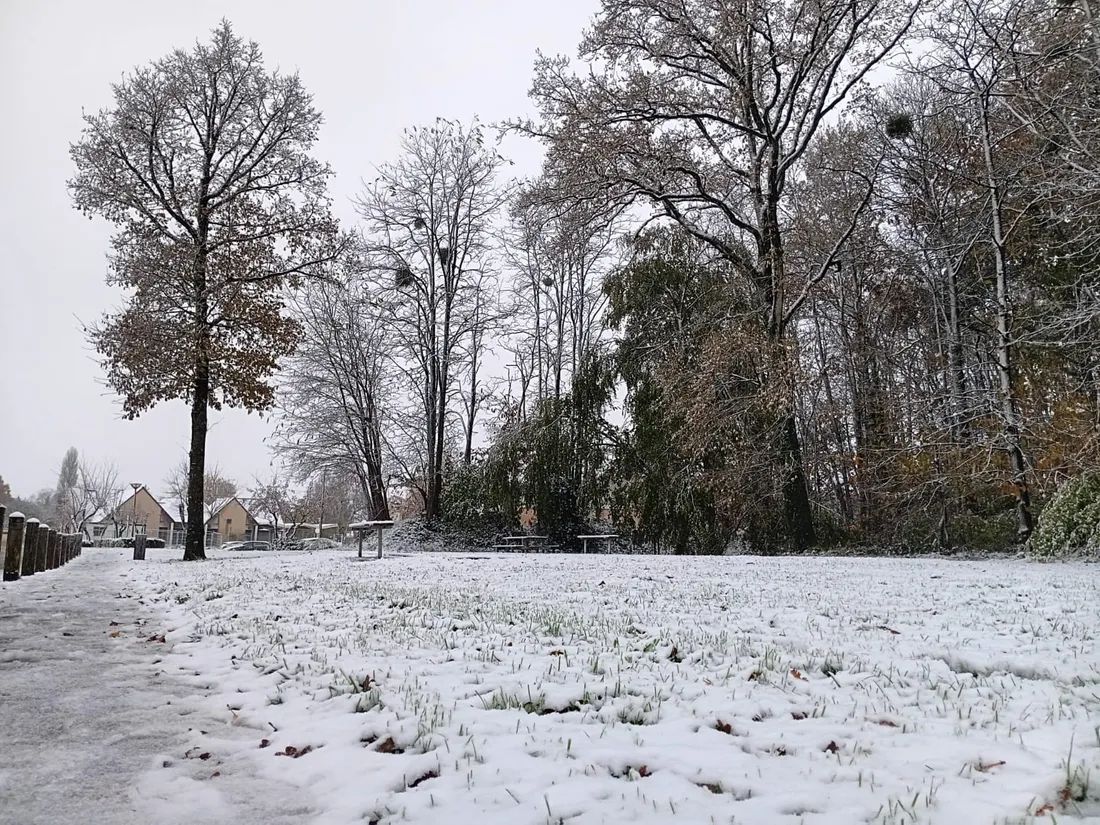 Neige-verglas. Coupures d'électricité et transports scolaires suspendus ...