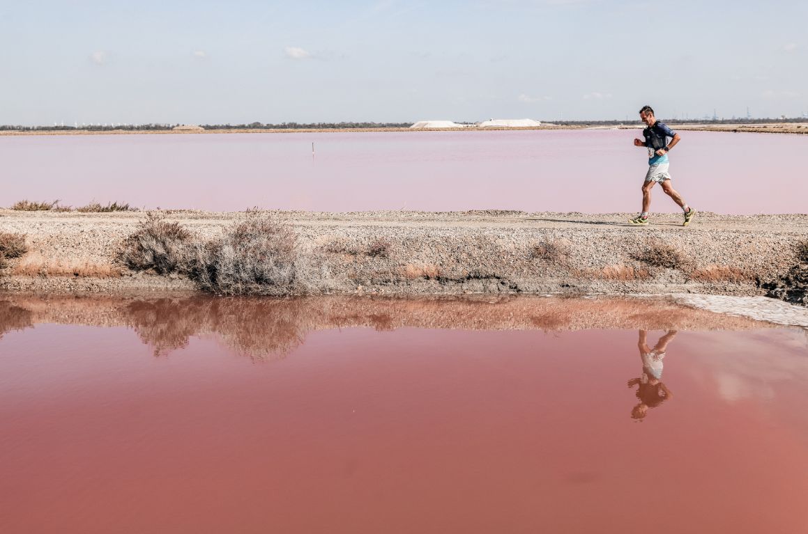 Camargue : Le succès fou de cette course insolite, ne laissez pas s ...