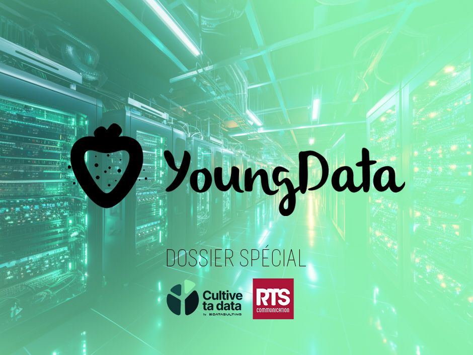 Optimisez votre entreprise avec la Power Platform par Young Data