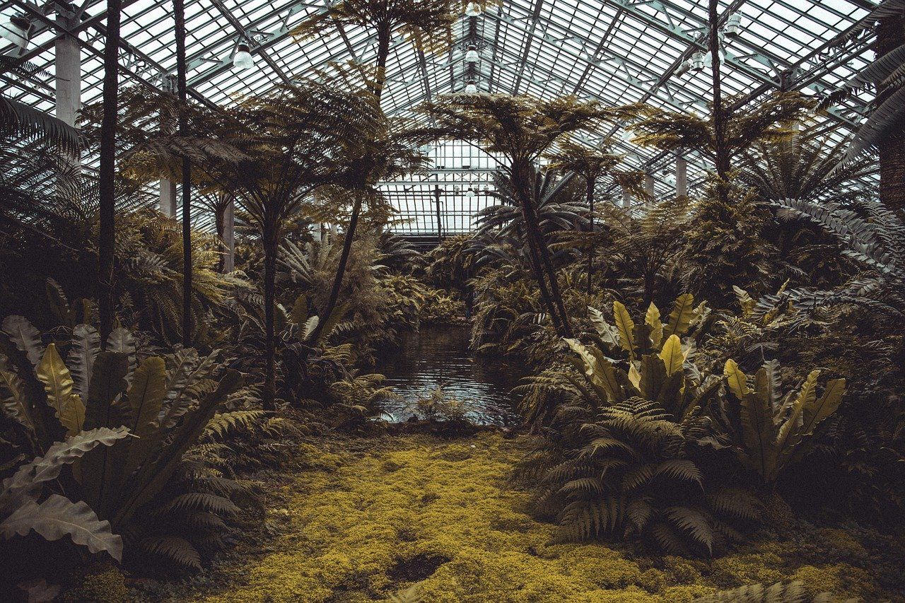 Les serres urbaines bioclimatiques : la climatisation par les plantes ...