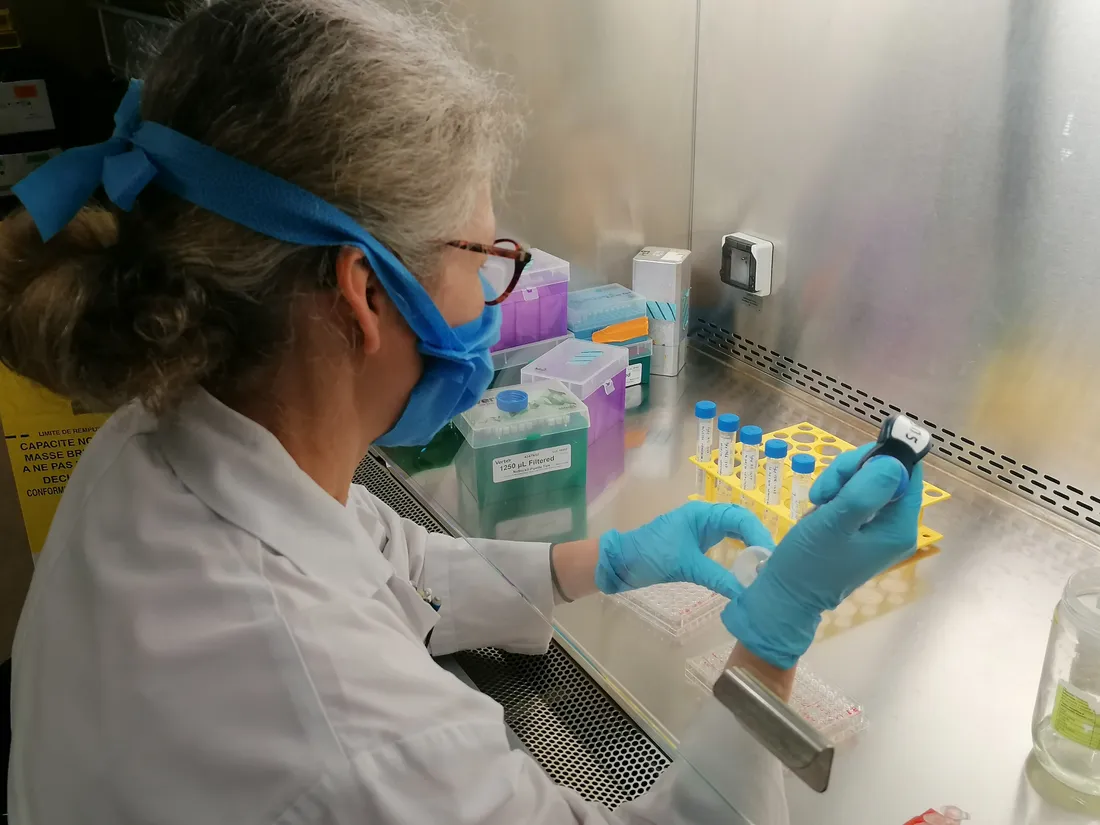 Les "bienfaits" du Covid-19 pour la biotech de Nantes, XENOTHERA, qui ...